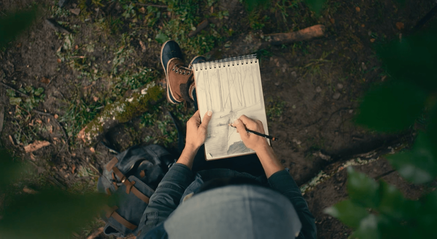 PBS | Live Action Network Rebrand – Agency Marketplace